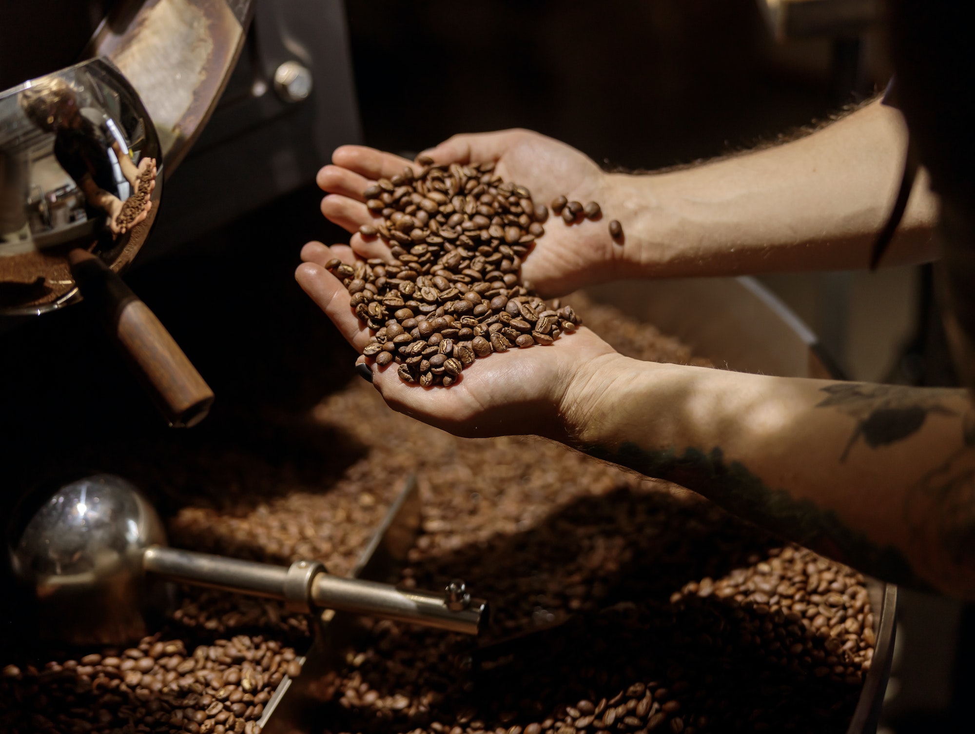 Les différents types de café et leurs saveurs uniques - Urban Partner